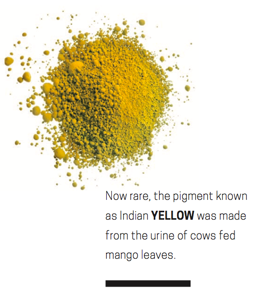 The meaning behind the many colors of India’s Holi Festival | Victoria ...